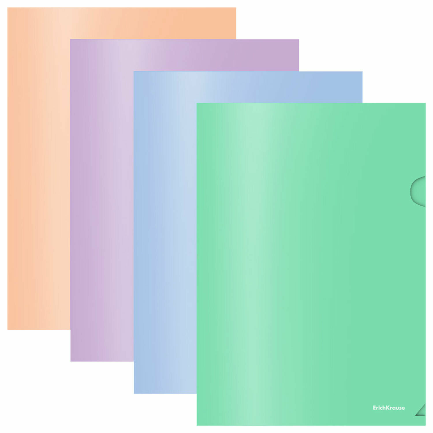 Комплектация 12 шт. Папка-уголок ERICH KRAUSE «Matt Pastel Bloom», ассорти, 0,18 мм, 61133