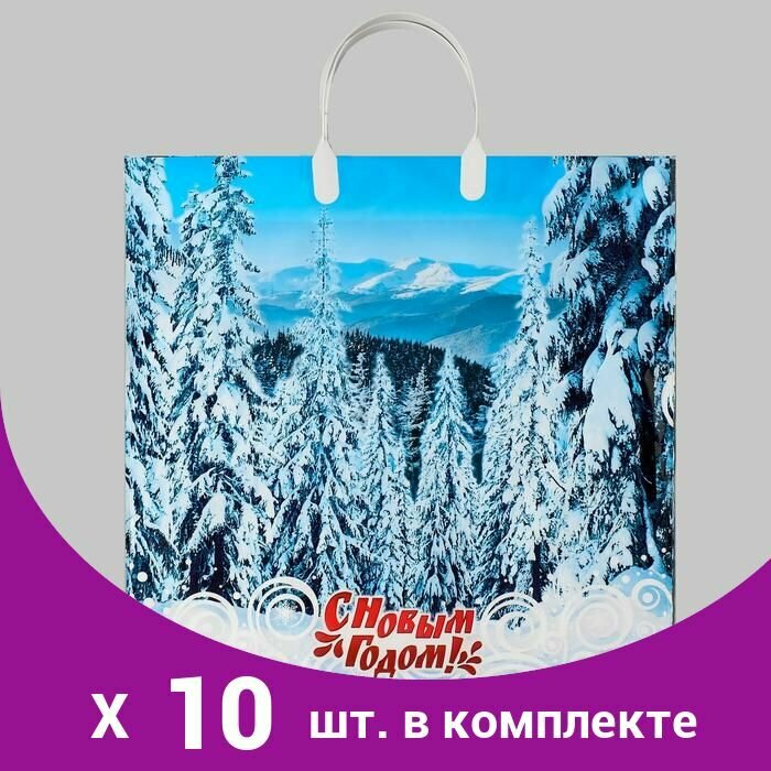 Пакет 'Саяны', полиэтиленовый с пластиковой ручкой, 40 х 44 см, 100 мкм (10 шт)