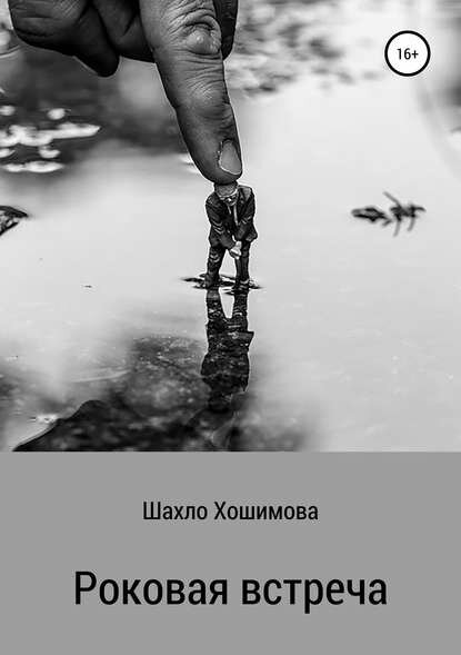 Роковая встреча [Цифровая книга]