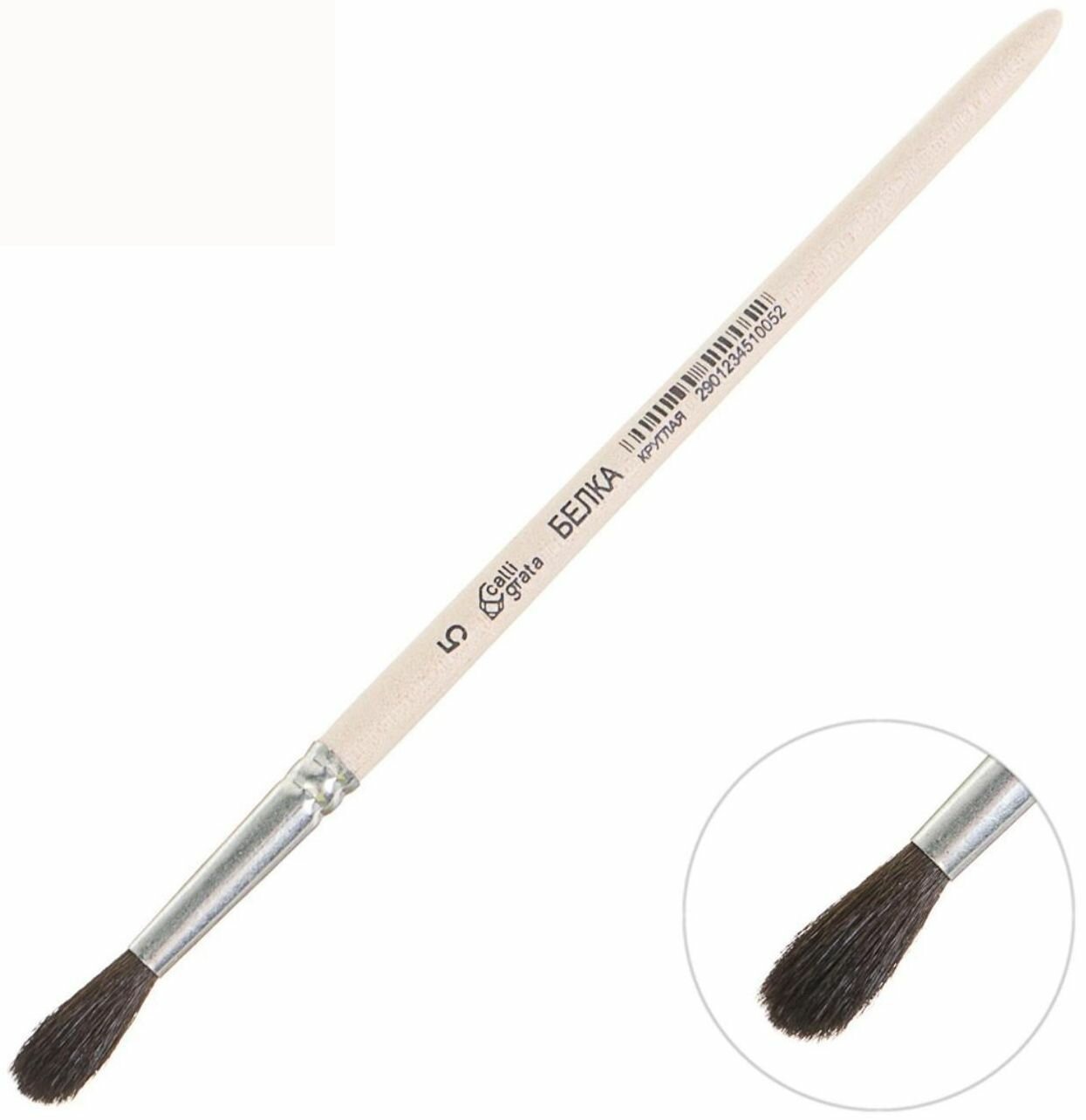 Кисть Белка круглая № 5 для рисования красками, кисточка из натурального ворса с деревянной ручкой, канцелярия для школы, творчества, диаметр обоймы 5 мм, длина волоса 20 мм
