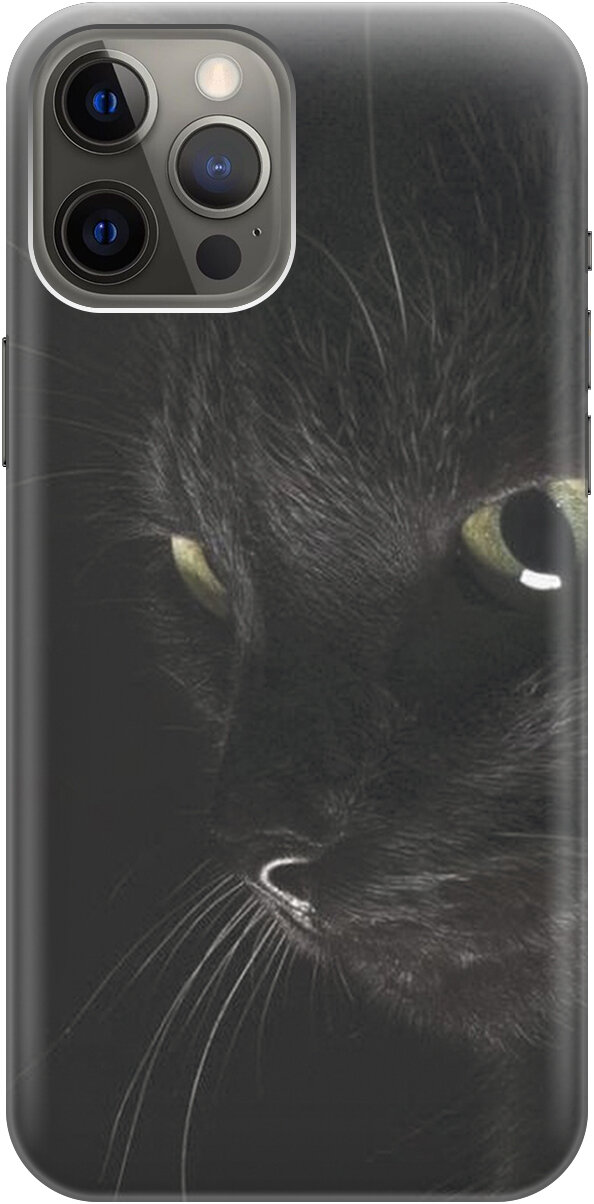 Силиконовый чехол на Apple iPhone 12 Pro Max / Эпл Айфон 12 Про Макс с рисунком "Черный кот"