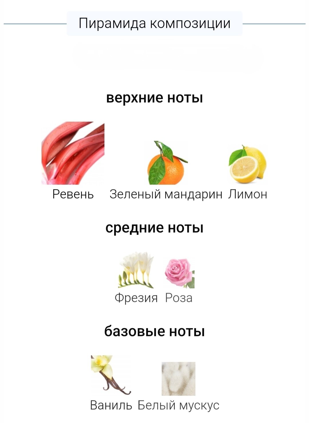 Духи ручной работы по мотивам'Bella', для женщин Lu Parfume. — фото 1