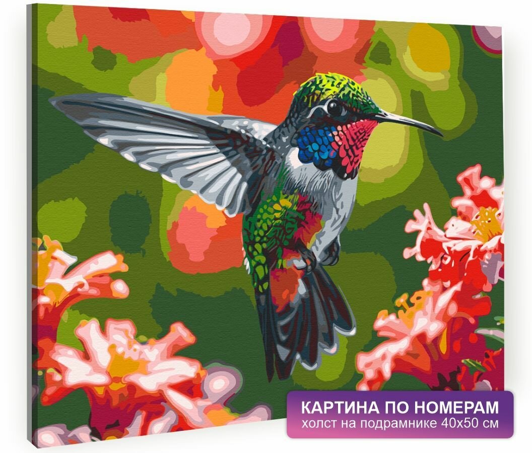 Картина по номерам на холсте с подрамником 40х50 см. Природа, животные, рыбы, птицы. "Колибри", арт. 5138/