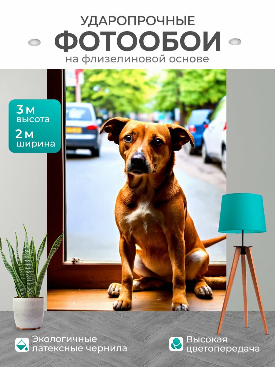 Фотообои моющиеся ударопрочные "Пес с интересным окрасом, сидящий у окна и наблюдающий за улицей" 200x300 см. флизелиновые на стену