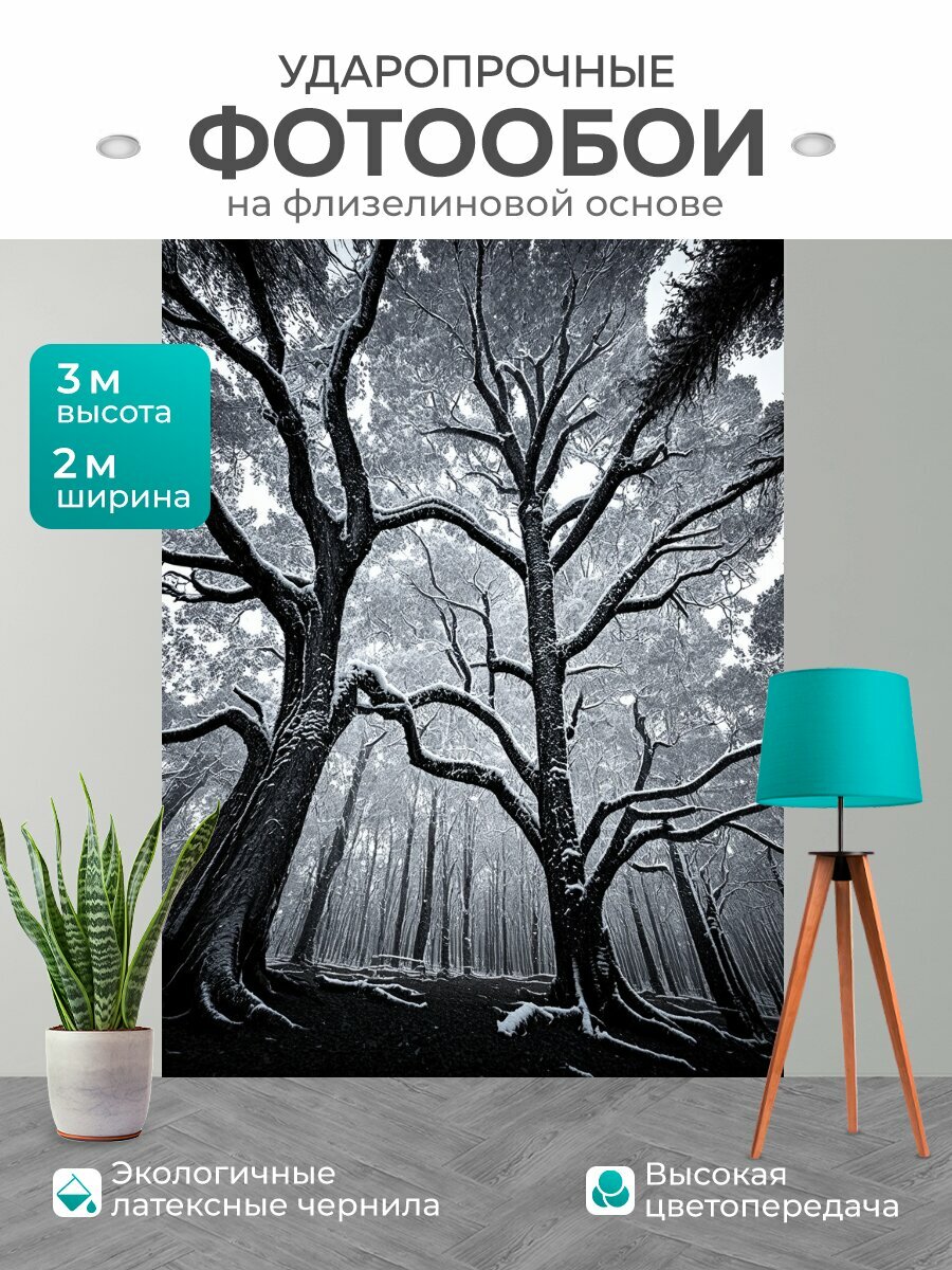Фотообои моющиеся ударопрочные "Черно-белый: древние деревья, застывшие во времени, создают атмосферу тайны и стабильности. каждое дерево передаёт" 200x300 см. флизелиновые на стену