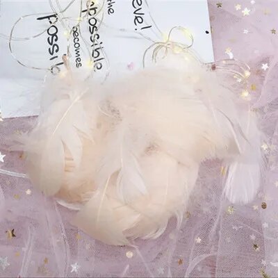 Окрашенные гусиные перья Piesfule 4-8 см 500pcs, Beige pink