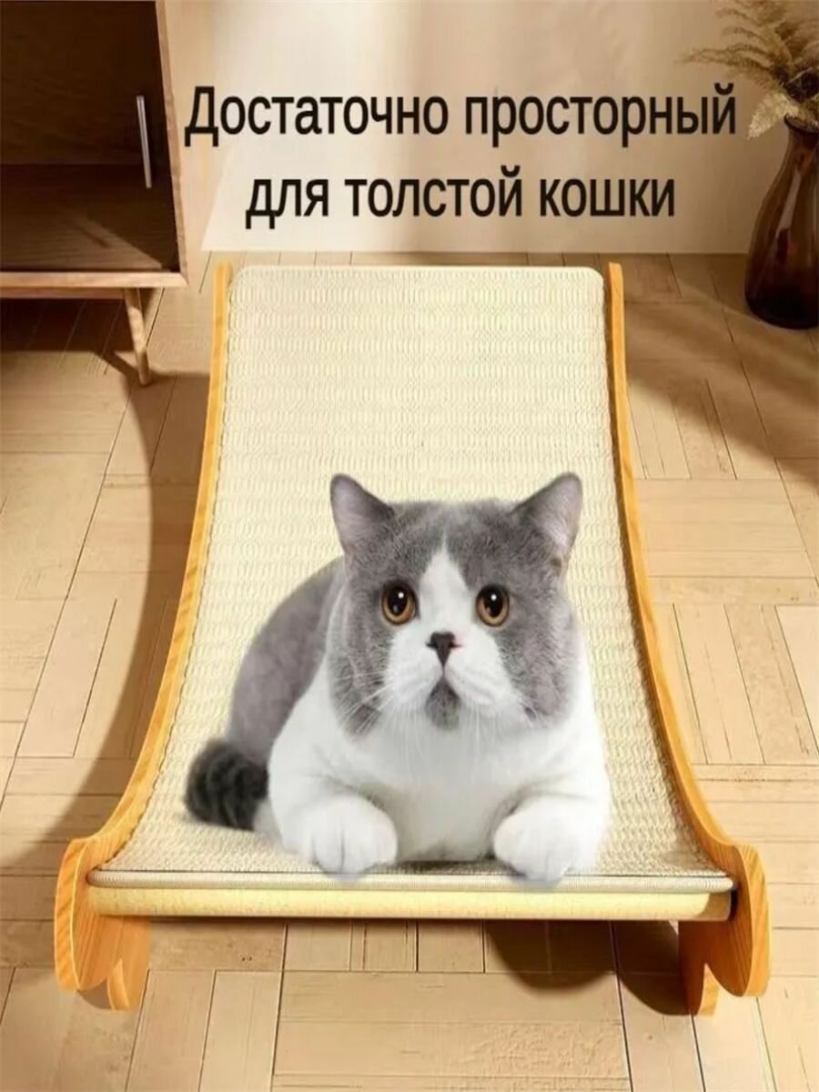 Когтеточка — фото 1