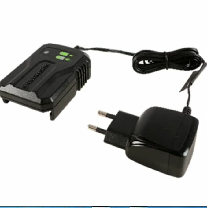Зарядное устройство GREENWORKS G24UC2 24V, 2А GR