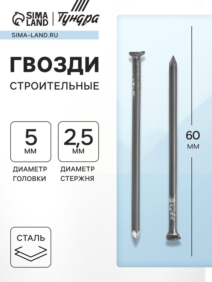 Гвозди тундра, строительные, ГОСТ 4028-63, без покрытия, 2.5×60 мм, фасовка 1 кг