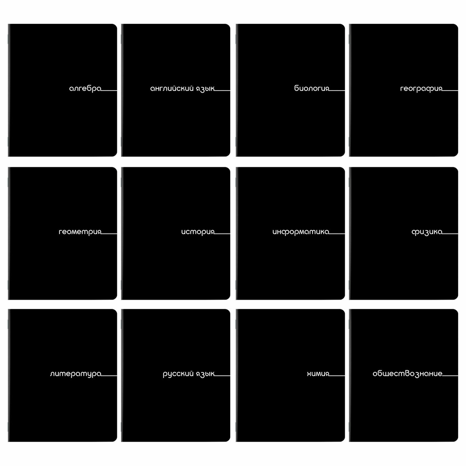 Тетради предметные, комплект 12 предметов, 48 л, обложка картон, BRAUBERG "BLACK", 405164