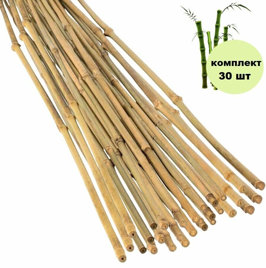 Бамбуковые палки 75 см, опора для цветов и рассады, комплект 30 шт