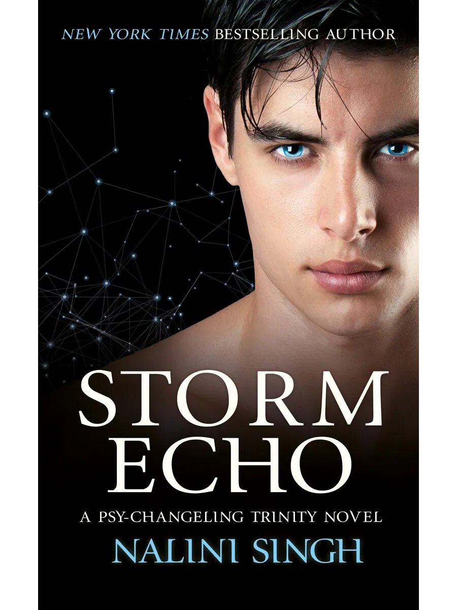 Storm Echo / Книга на Английском