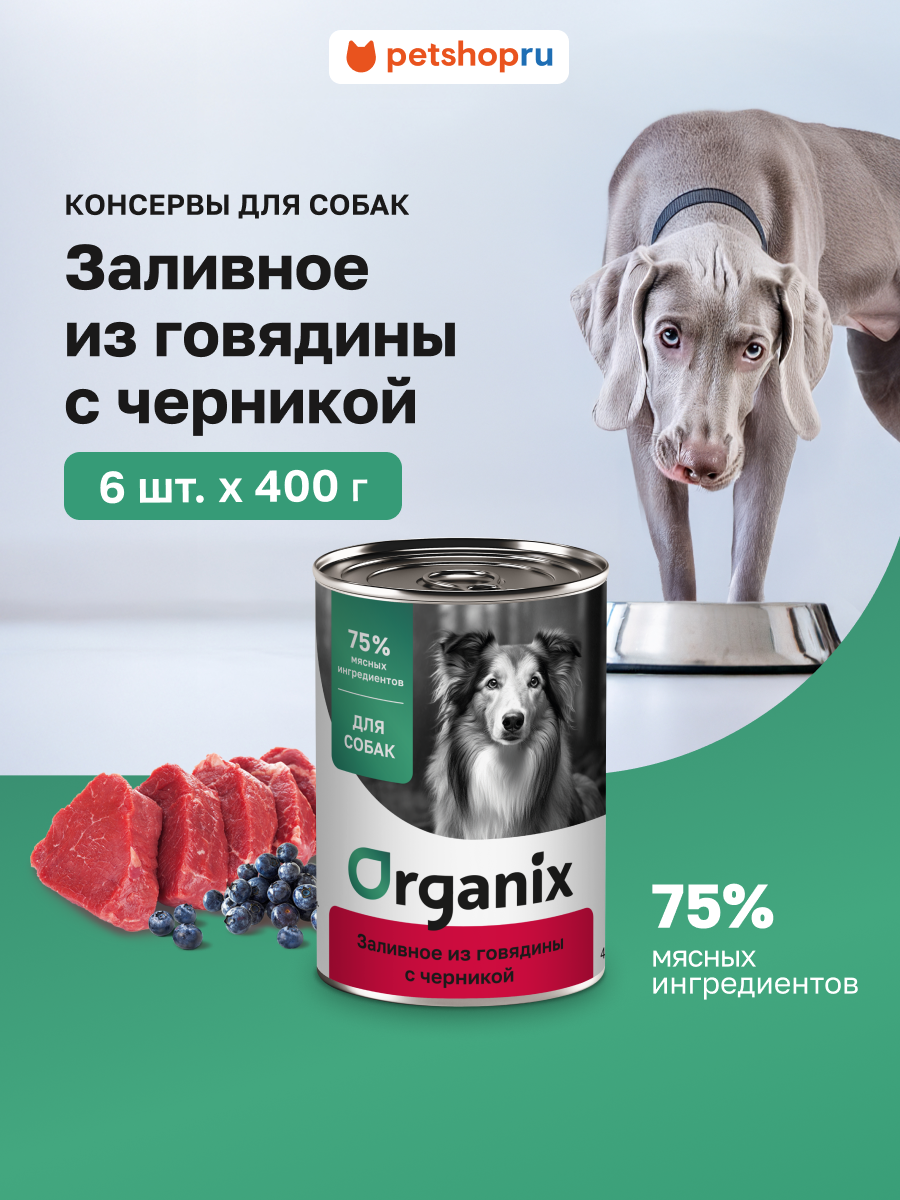 Organix Консервы для собак Заливное из говядины с черникой, влажный корм, 6шт х 400гр