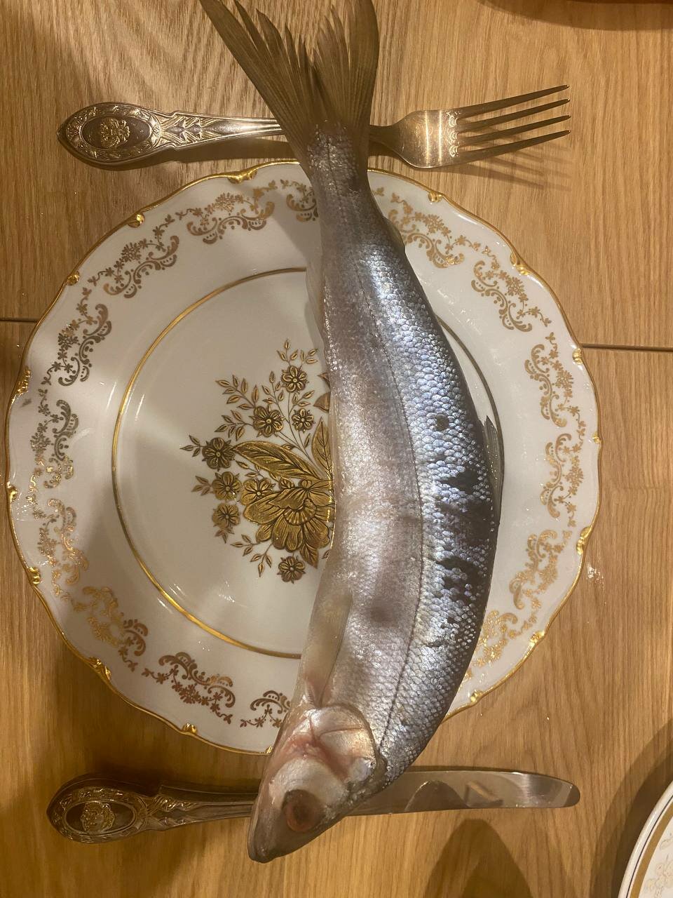 Муксун малосольный