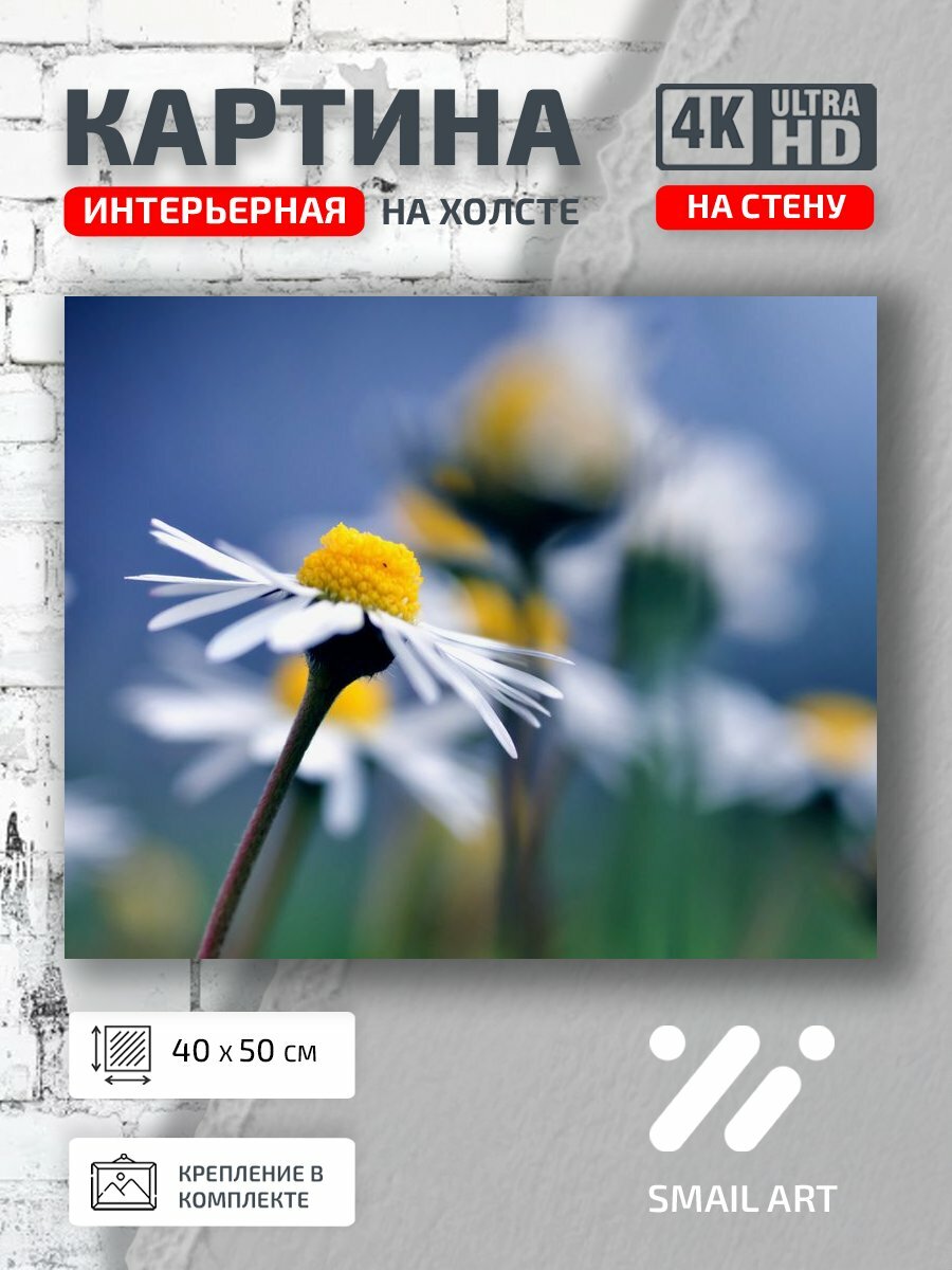 Картина на холсте интерьерная 40 на 50 на стену Ромашки Landscape для кабинета пейзаж декор