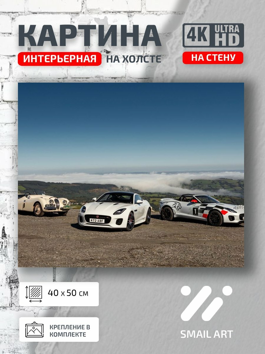 Картина на холсте интерьерная 40 на 50 на стену Асфальт jaguar для студии авто дизайн декор