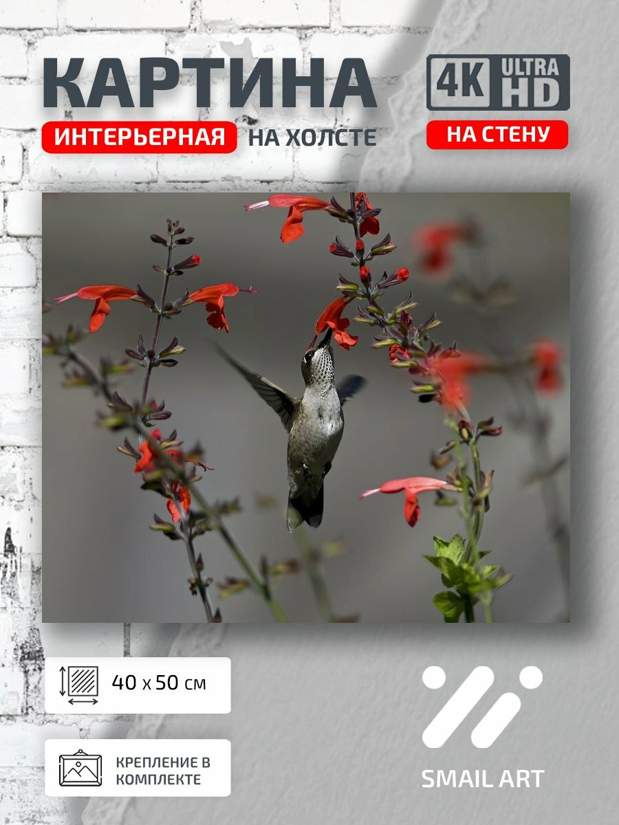 Картина на холсте интерьерная 40 на 50 на стену Цветок Mood для гостиной атмосфера интерьер