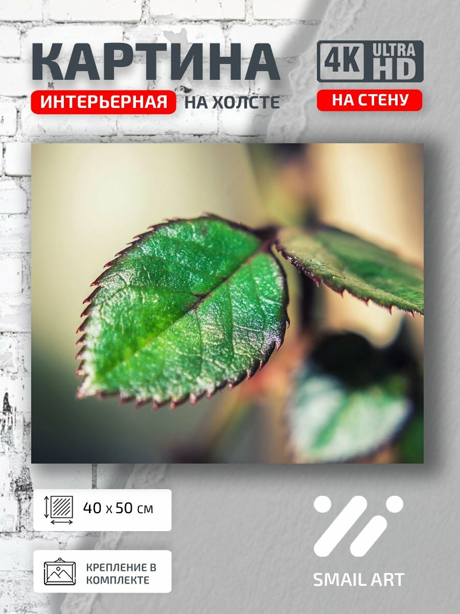 Картина на холсте интерьерная 40 на 50 на стену Малина Landscape для спальни пейзаж декор