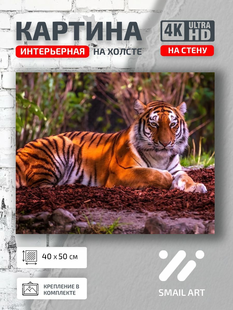 Картина на холсте интерьерная 40 на 50 на стену Деревья Animal для кабинета animal style