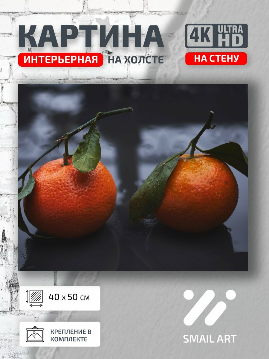 Картина на холсте интерьерная 40 на 50 на стену Капли Food для кухни кулинария интерьер