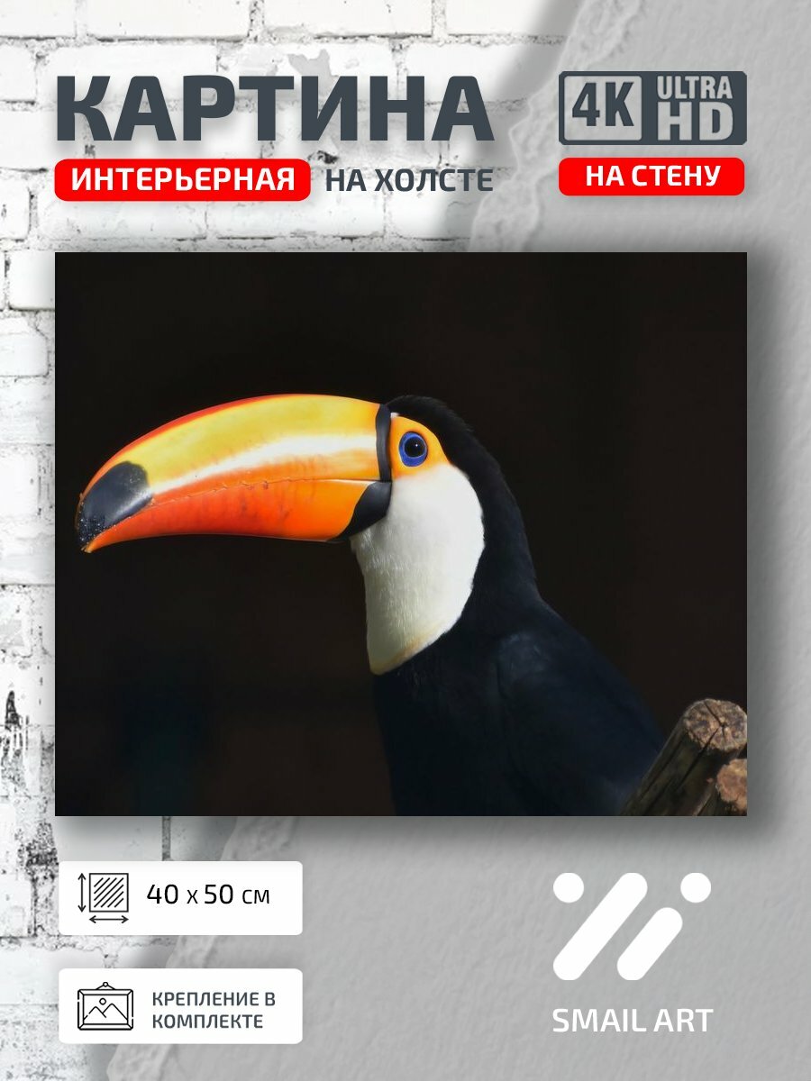 Картина на холсте интерьерная 40 на 50 на стену Клюв Animal для спальни animal style декор