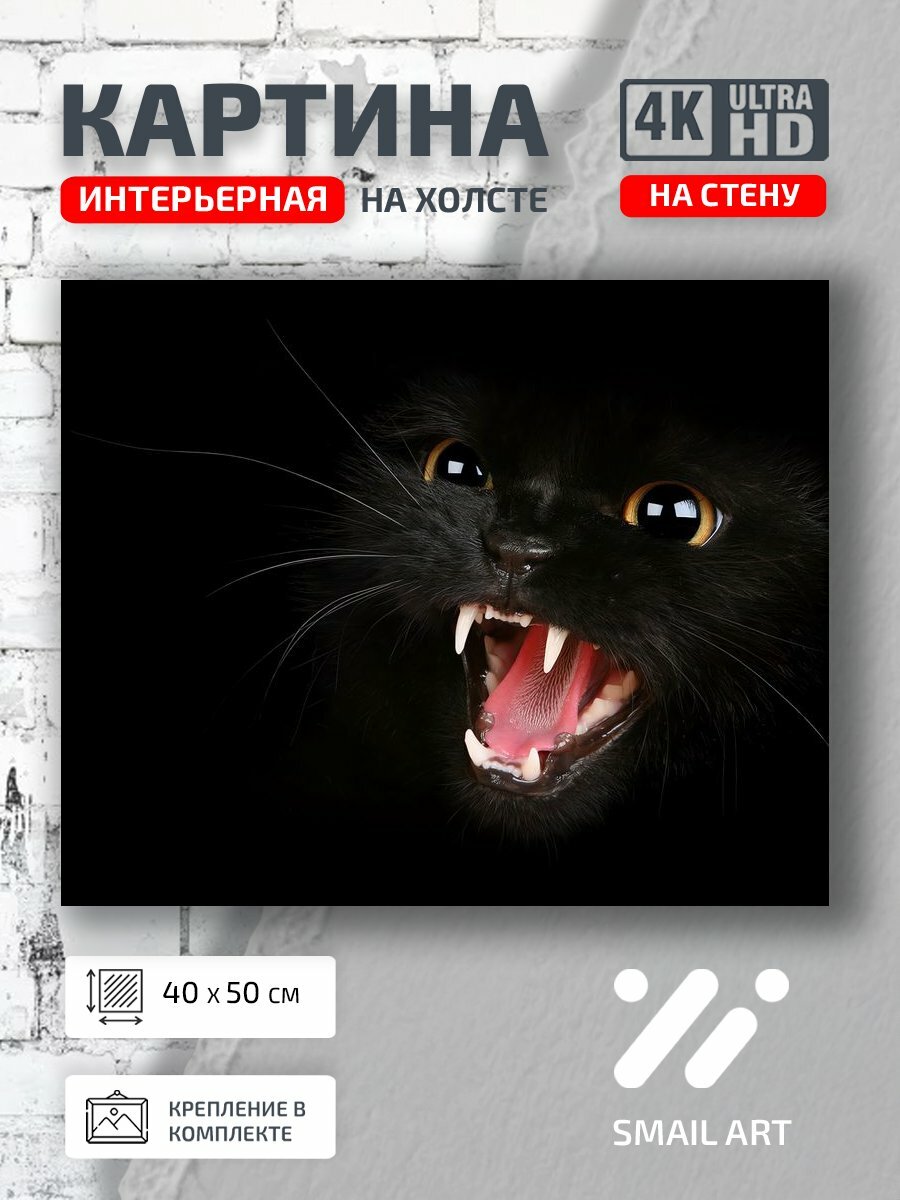 Картина на холсте интерьерная 40 на 50 на стену Темноте Animal для гостиной animal style