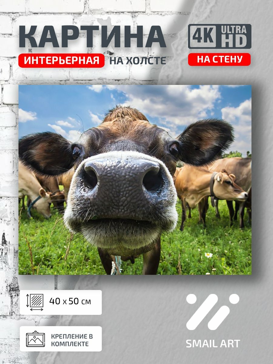 Картина на холсте интерьерная 40 на 50 на стену Трава Mood для студии атмосфера интерьер