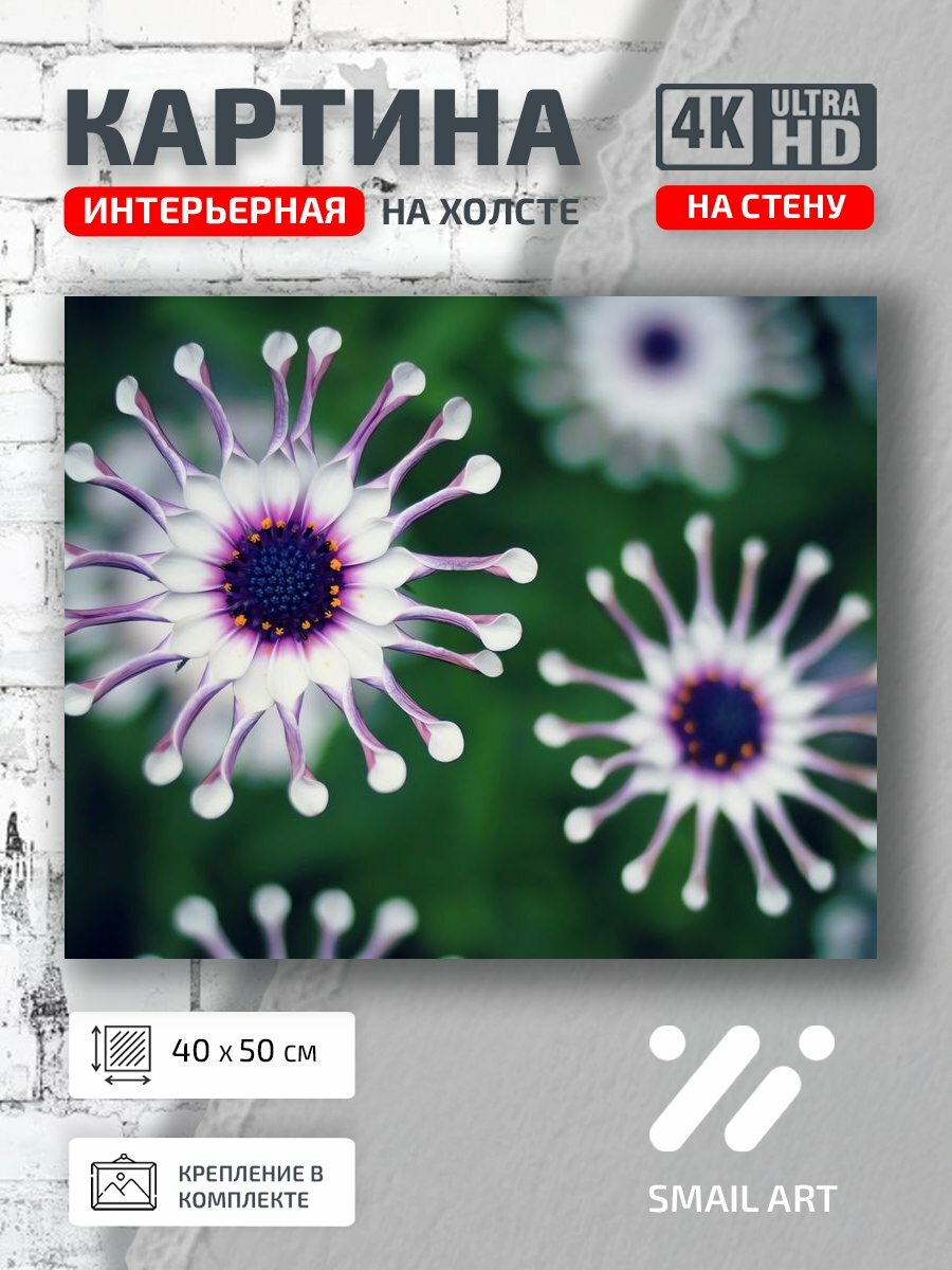 Картина на холсте интерьерная 40 на 50 на стену Интересные Mood для студии атмосфера декор