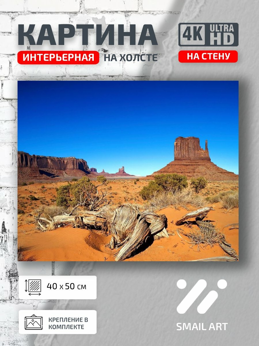 Картина на холсте интерьерная 40 на 50 на стену Каньон canyon для гостиной пейзаж интерьер