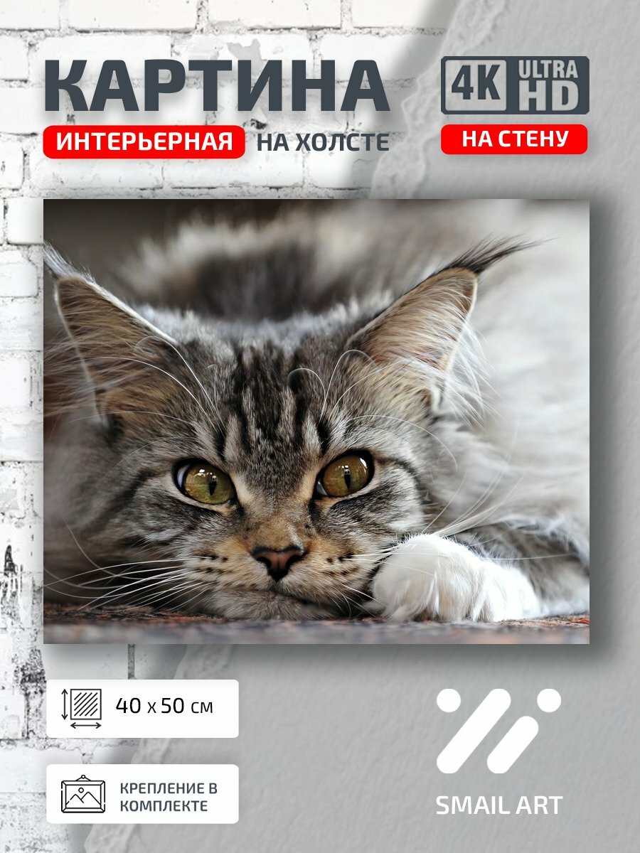 Картина на холсте интерьерная 40 на 50 на стену Мордочка Animal для спальни animal style