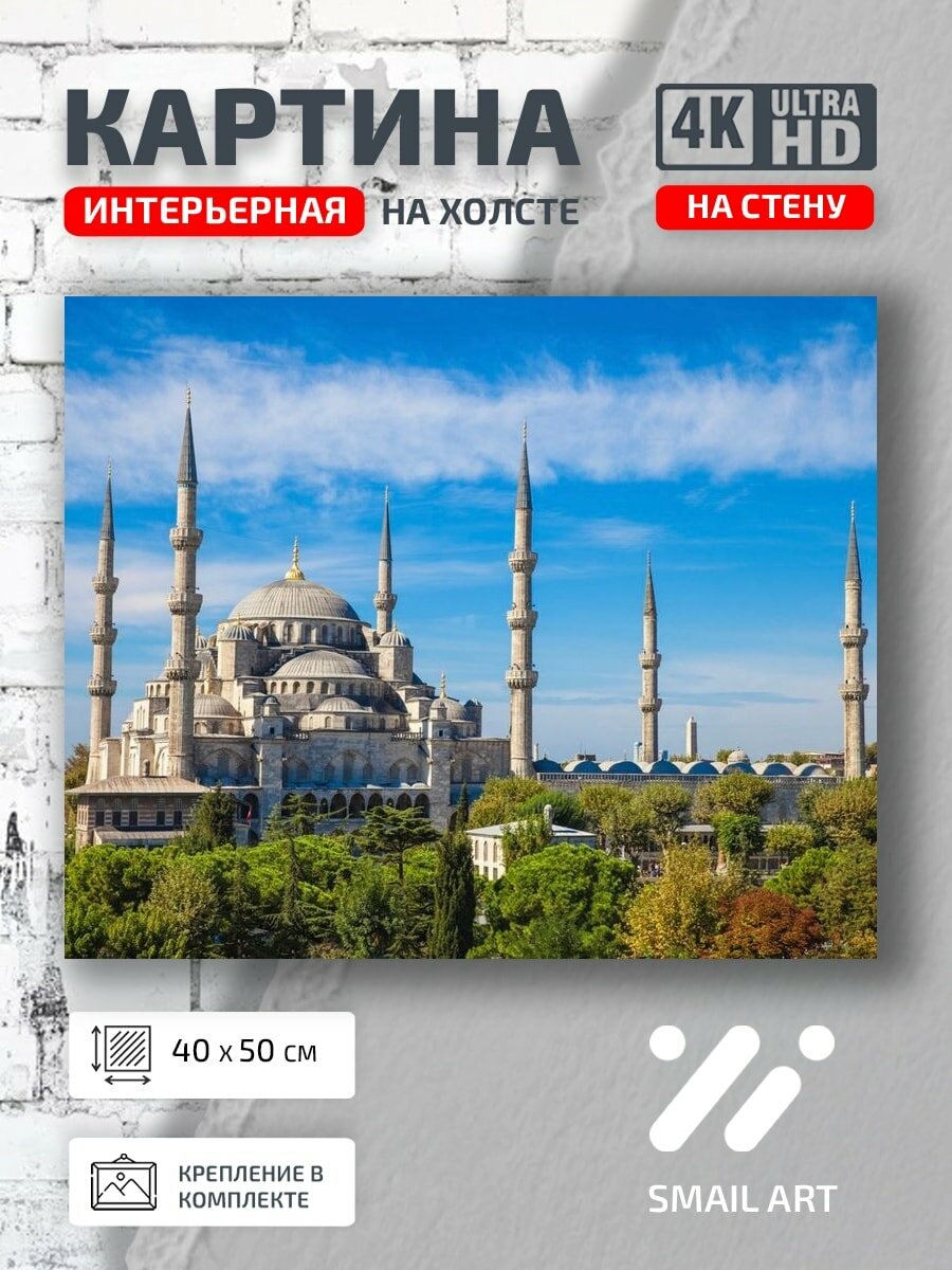 Картина на холсте интерьерная 40 на 50 на стену мечеть Стамбула для офиса атмосфера