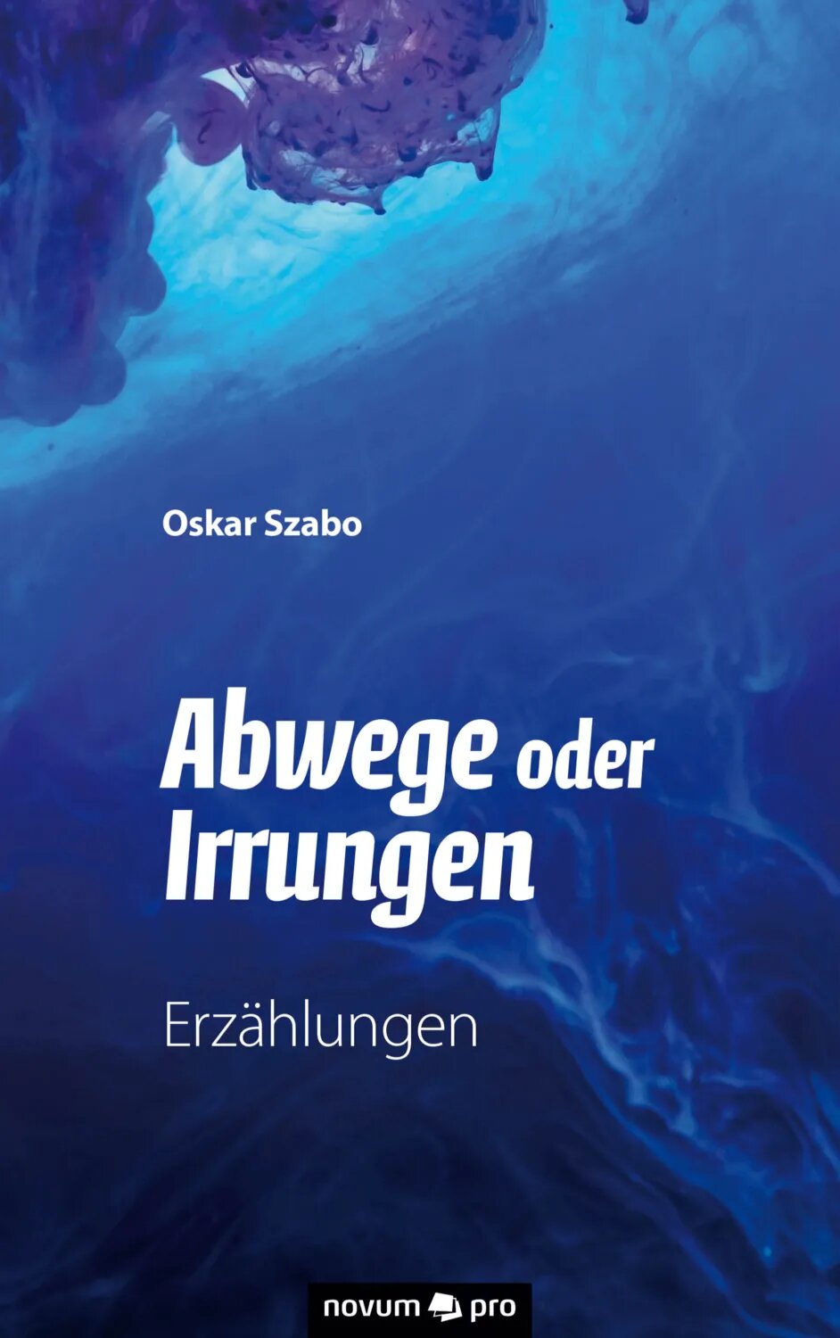 Abwege oder Irrungen [Цифровая книга]