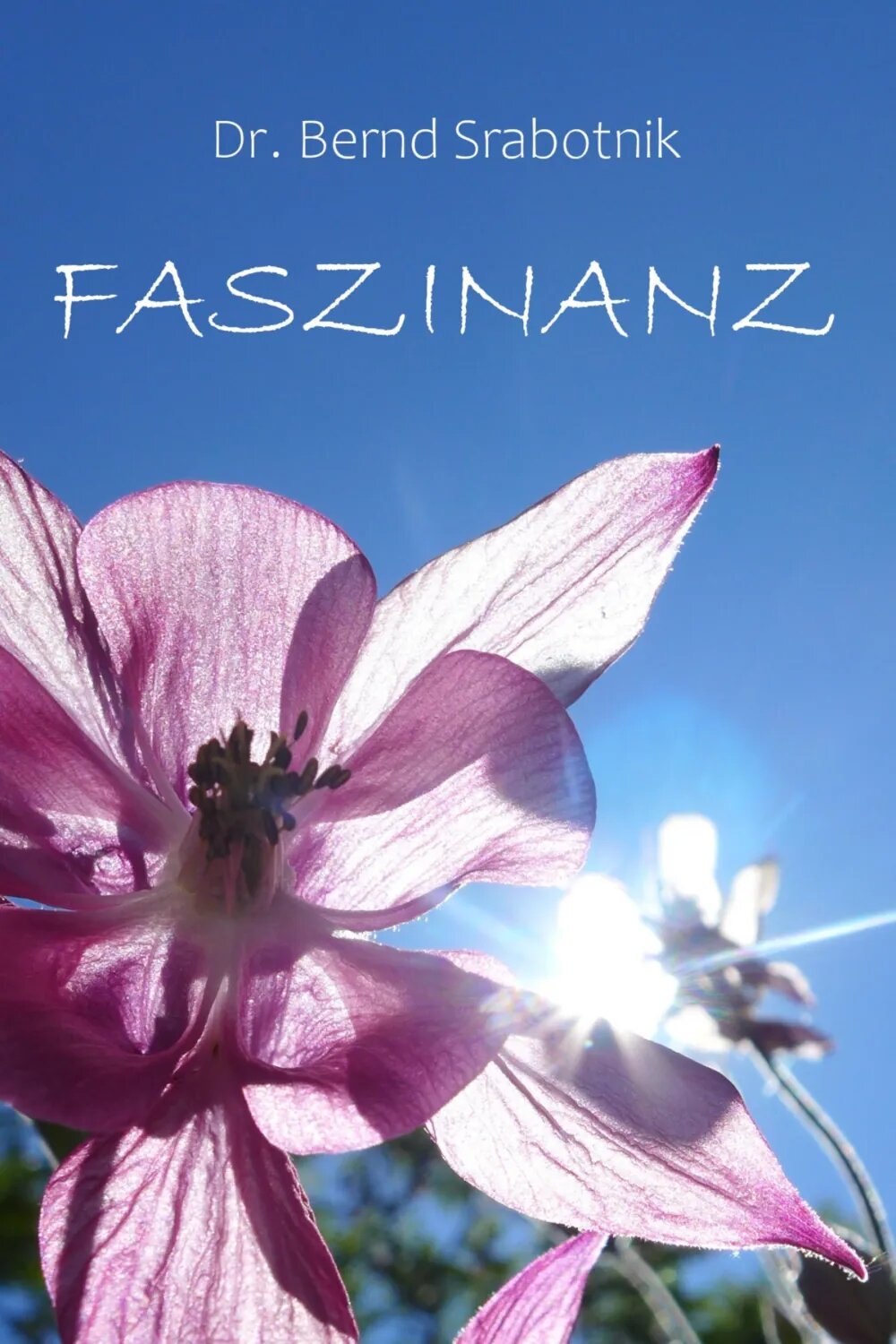 Faszinanz [Цифровая книга]