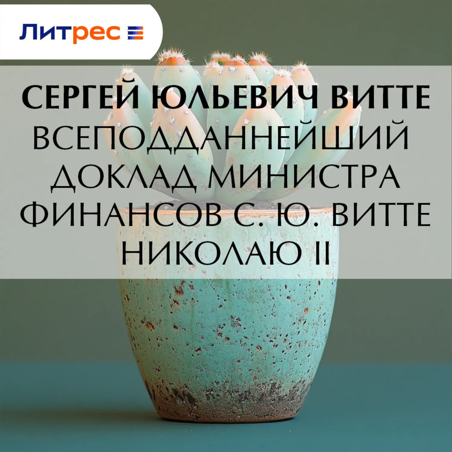 Всеподданнейший доклад министра финансов С. Ю. Витте Николаю I [Аудиокнига]