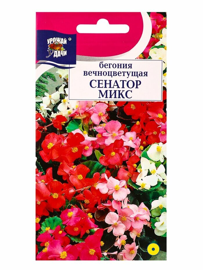 Семена цветов Бегония вечноцвет. Сенатор микс 0,002 г.