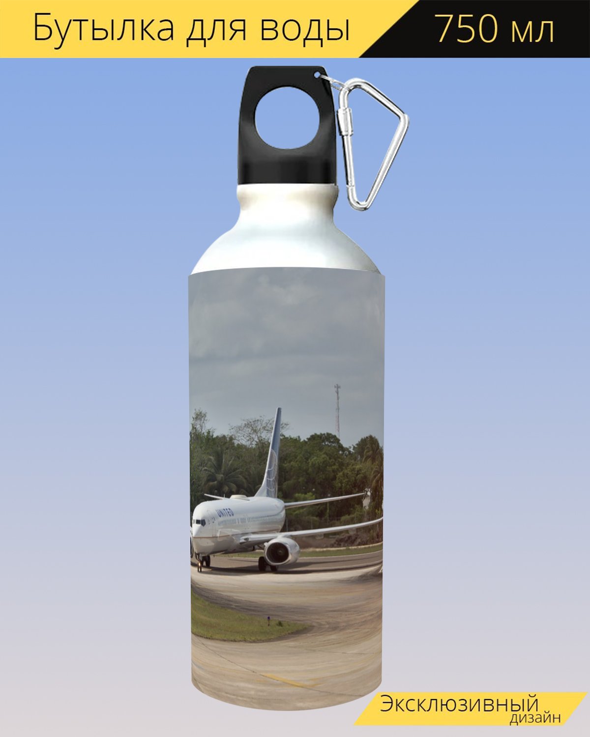 Бутылка фляга для воды "Полет, boeing 737, самолет" 750 мл. с карабином и принтом
