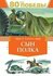 Книга "Сын полка : повесть"