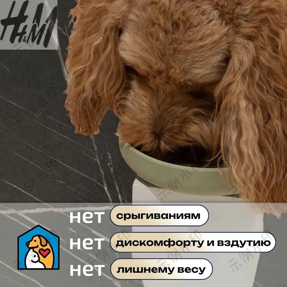 Миска для животных 2 в 1 - головоломка для медленного кормления и лизательный коврик на присоске, 400 мл, силикон, 19 см — фото 1