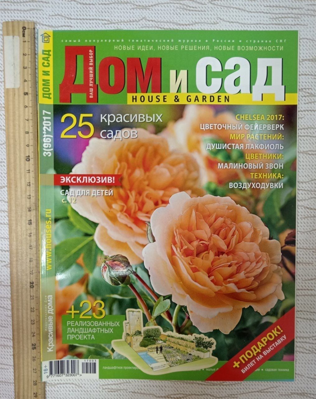 Журнал дом и сад 3 (96) 2017