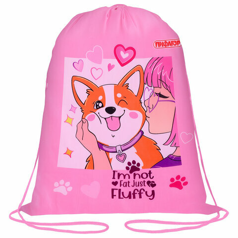Мешок для обуви пифагор, 1 отделение, 40х32 см, Fluffy akita, 272385