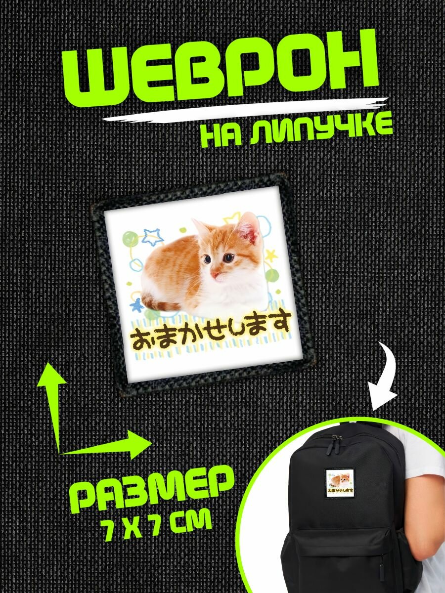 Шеврон на липучке нашивка Котик