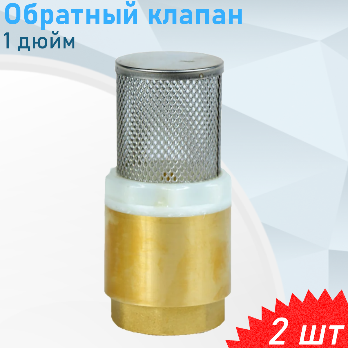 Обратный клапан 1 дюйм шток пластик с сеткой, 2 шт