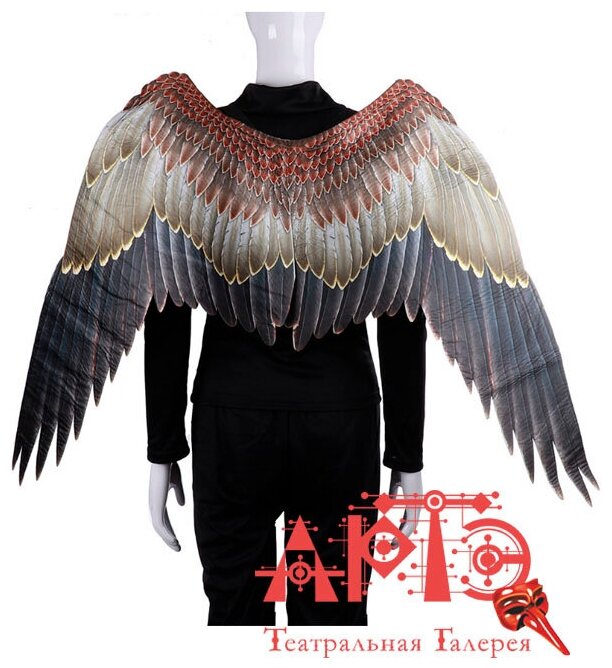Крылья "Хищная птица" (Цв: Разноцветный )