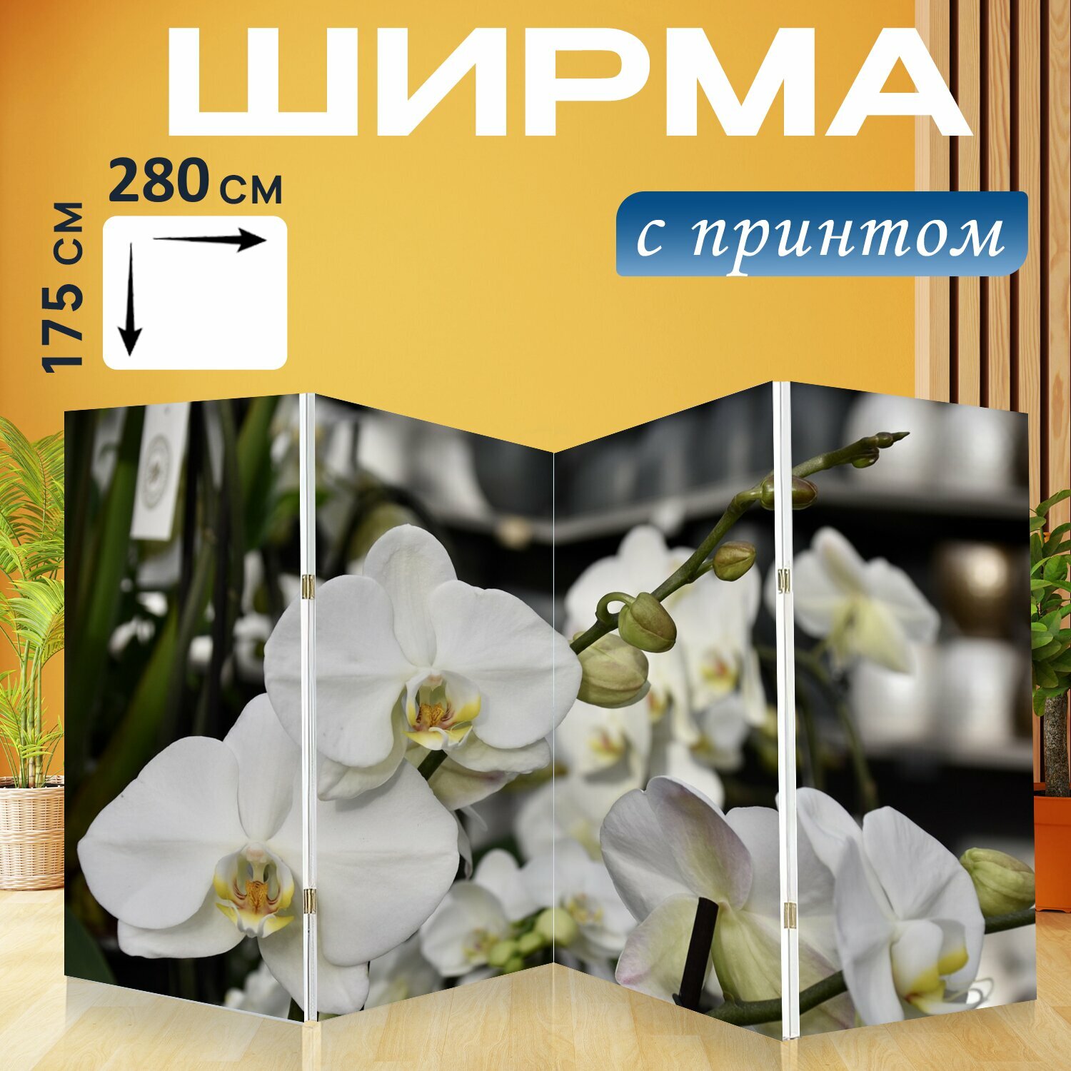 Ширма "Цветок, орхидея, белый цветок" перегородка для зонирования комнаты с принтом 280x175 см. на холсте