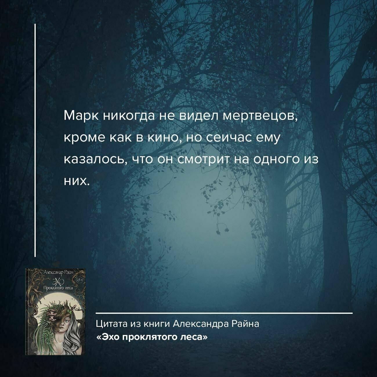 Эхо проклятого леса — фото 1