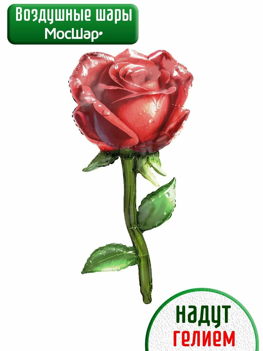 Воздушные шары с гелием, фольгированный шар Роза