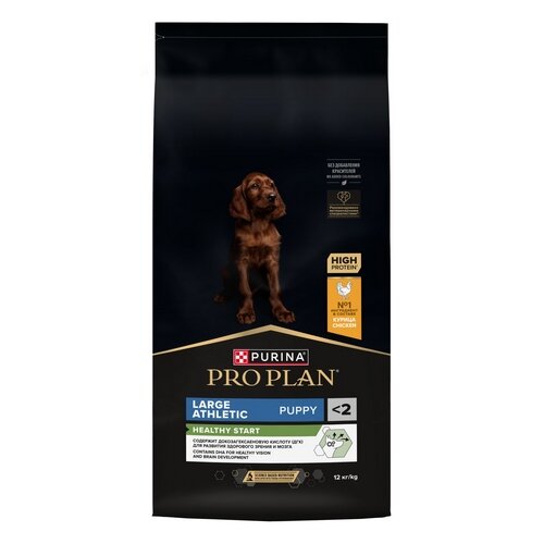 С атлетическим телосложением сухой корм про план для щенков крупных пород с курицей 12 кг