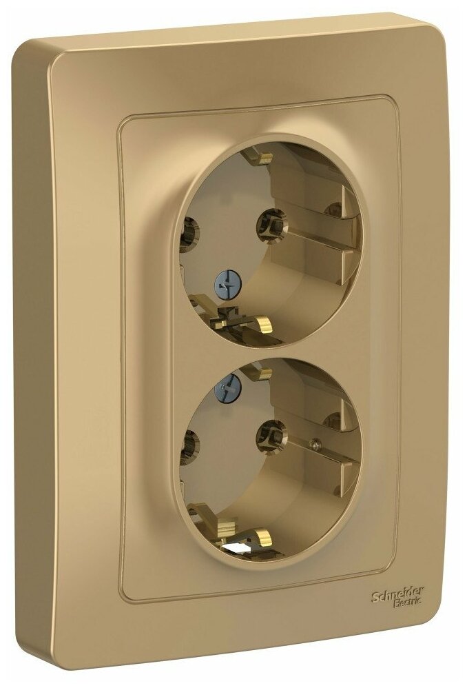 Розетка Systeme Electric двойная с заземлением BLANCA, с/у, 16А, 250В, титан {BLNRS001024} 1 шт