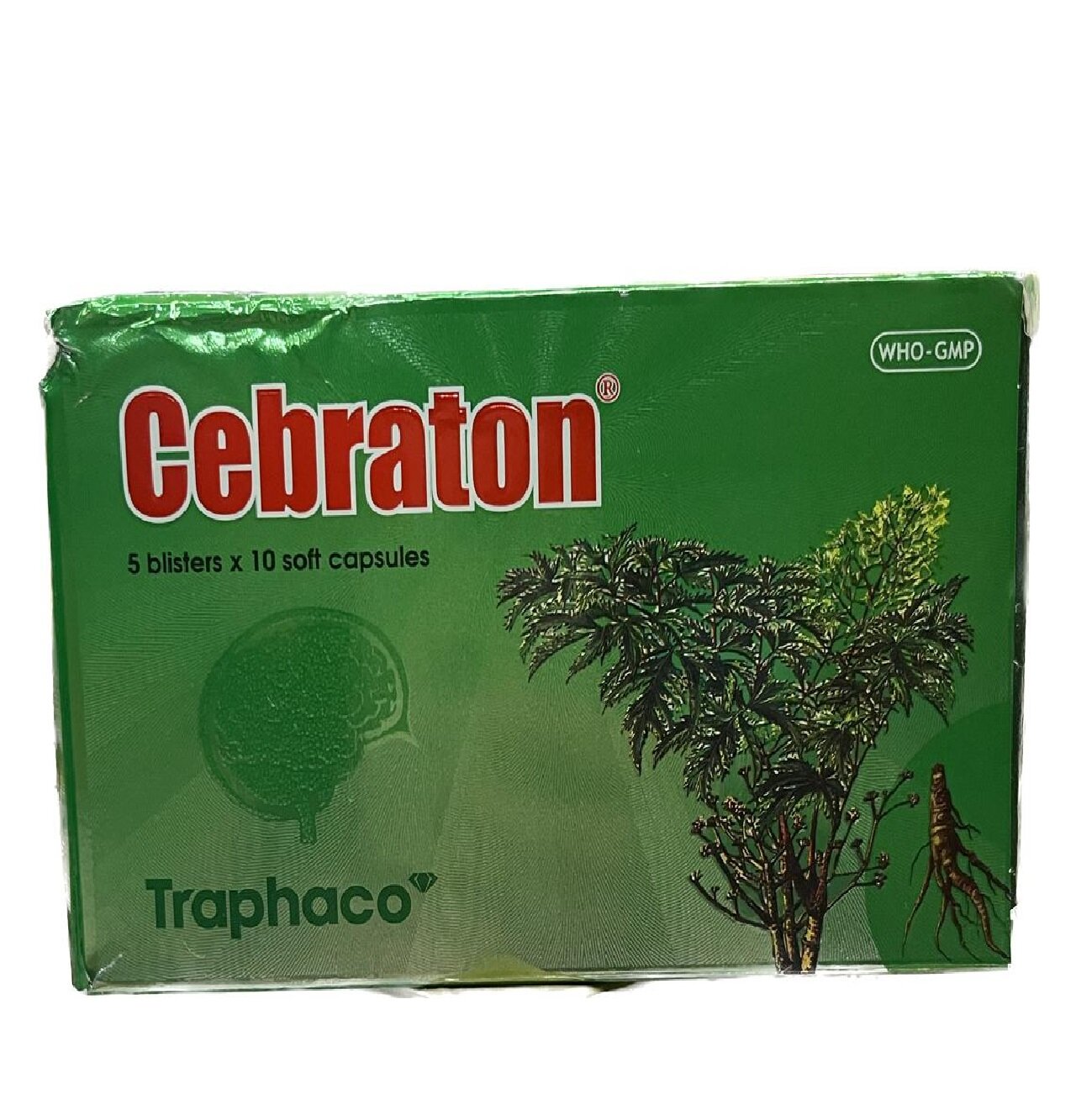 Гингко Билоба Cebraton 50 пилюль Нервы/Сон/Инсульт/Память Вьетнам