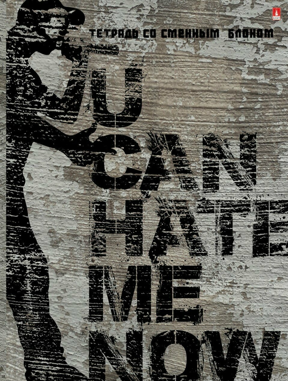 Тетрадь со сменным блоком Hip-Hop, А5+, 160 листов, клетка